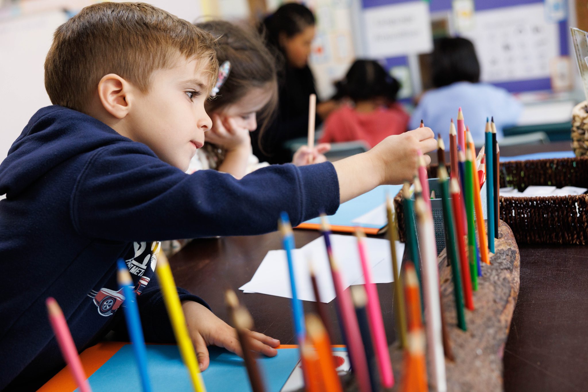 ELACCA welcomes Queensland Government's 'serious consideration'of Free ...